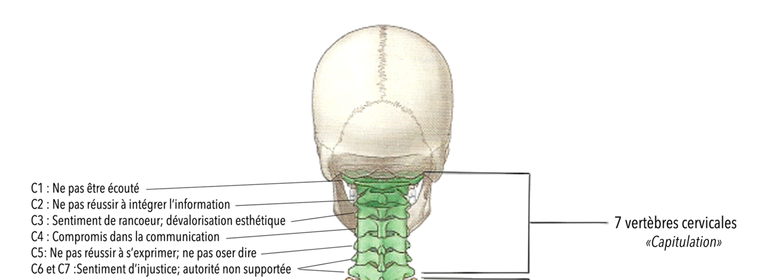 Décodage des cervicales - Décodage